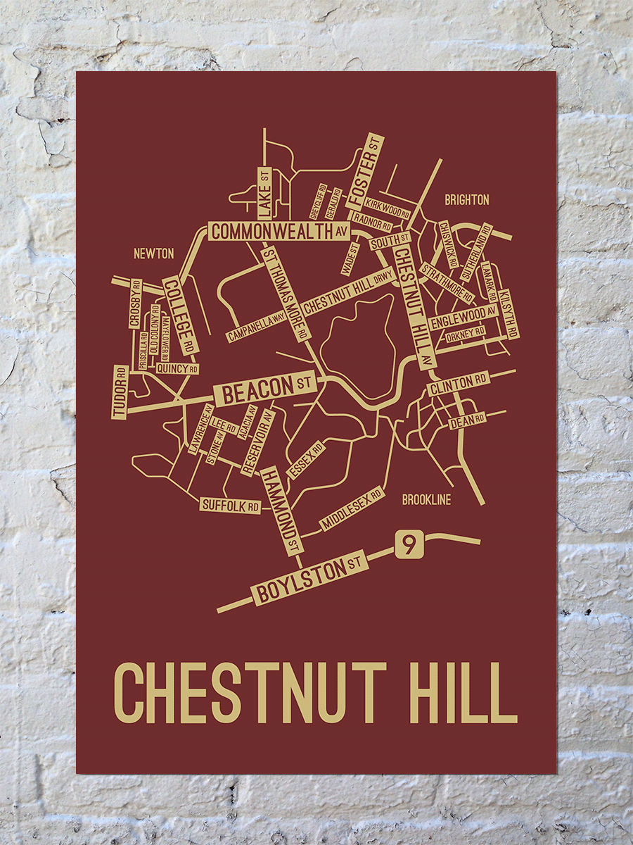 Chestnut Hill, Massachusetts Street Map Print - School Street Posters