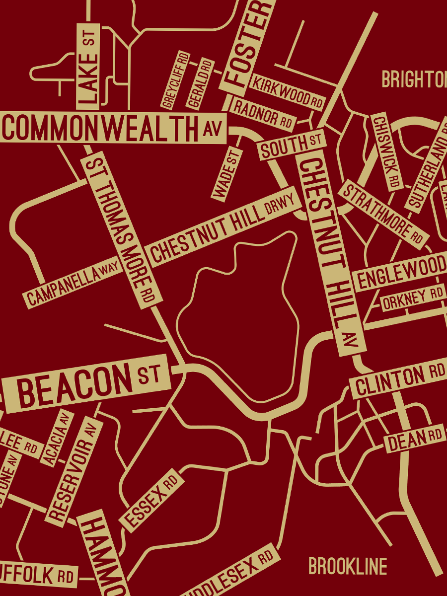 Chestnut Hill, Massachusetts Street Map - School Street Posters