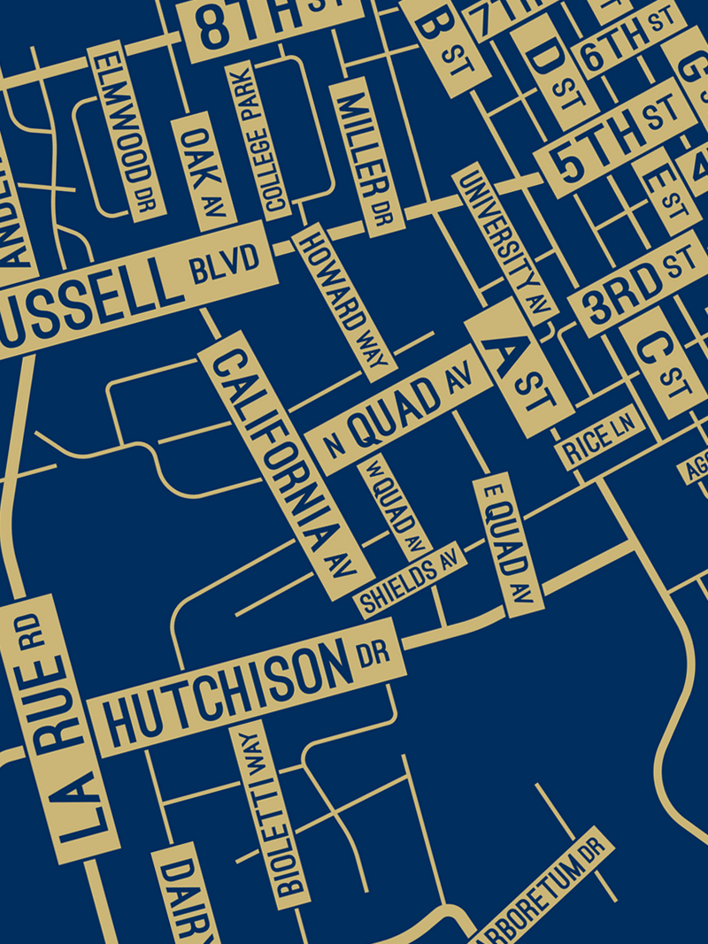 Davis, California Street Map - School Street Posters