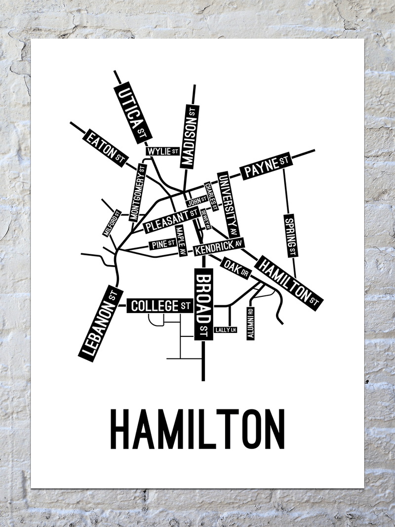 Hamilton, New York - School Street Posters